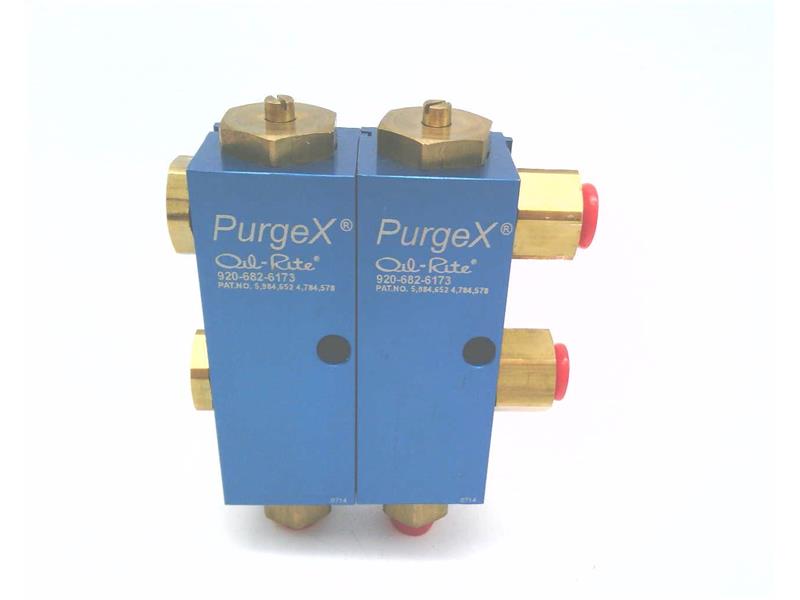 B3162-402 Pneumatic Valve by PURGEX