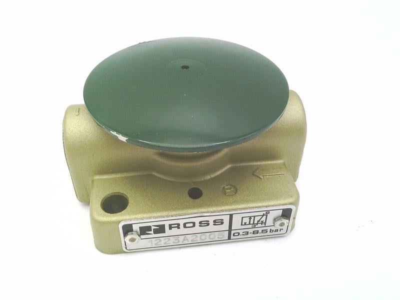 1223A2005 Pushbutton by ROSS CONTROLS