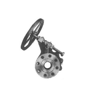 4060S-57 Control Valve by EVERLASTING VALVE CO