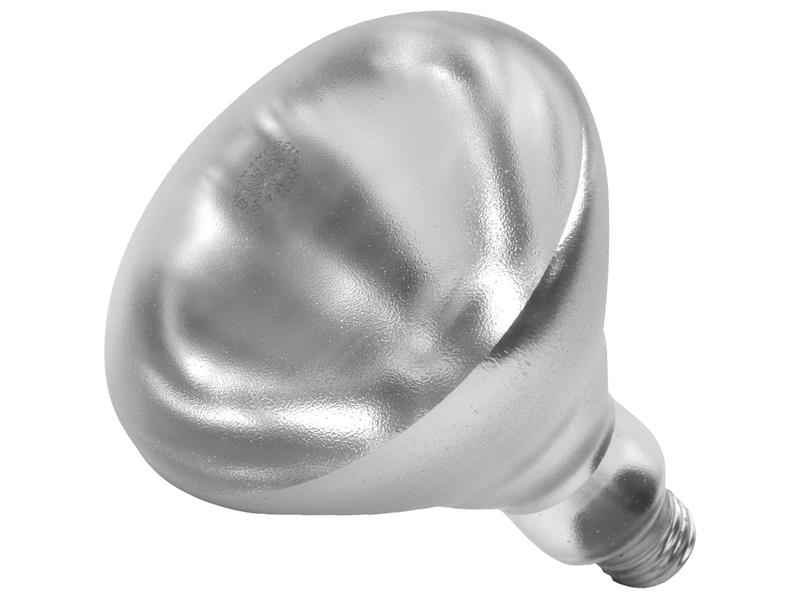 01697W Fluorescent Tube by SHAT R SHIELD