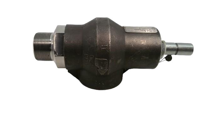 8264551819 Pressure Relief Valve by TAYLOR VALVE TECHNOLOGY