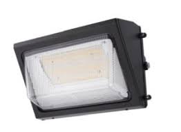WP100-SCT-G2-10-BZ LED Light by SIGNIFY