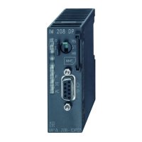 253-1DP01 PLC Module/Rack by VIPA