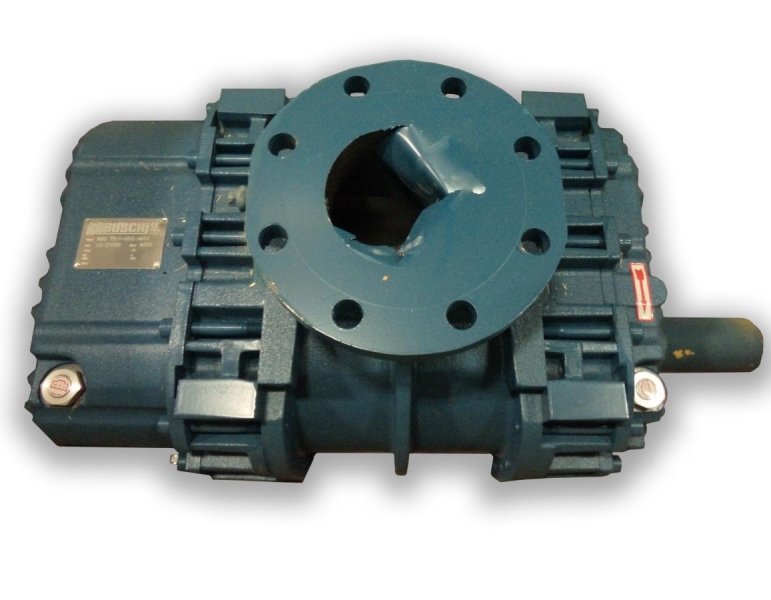 RBS-75/V-UNI/ANSI Motor by ROBUSCHI