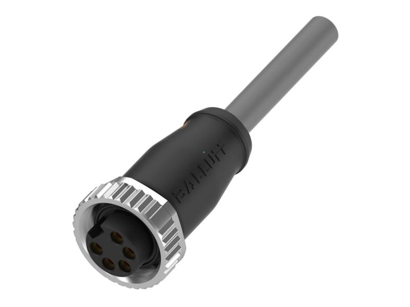 BCC A315-0000-10-030-PS85N4-200 QD Cable/Cord Set by BALLUFF