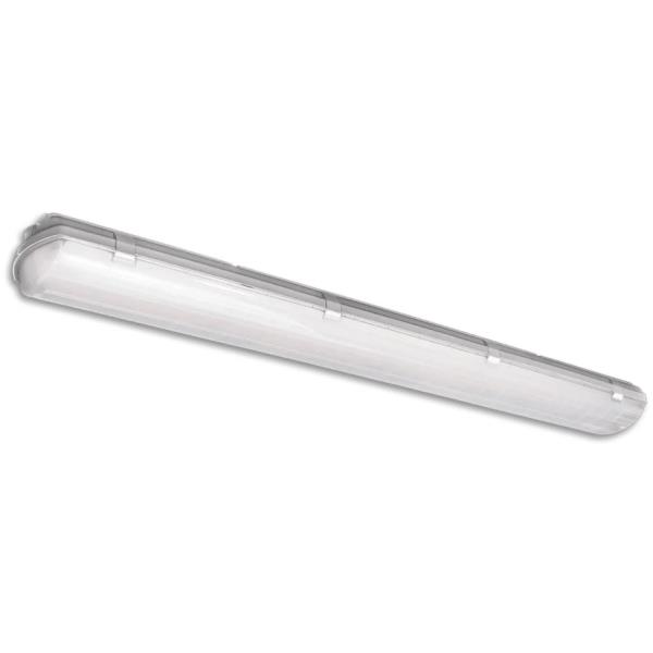 BS100LED-4HT-MO-WT40-120-277V Flood Light par BEGHELLI INC