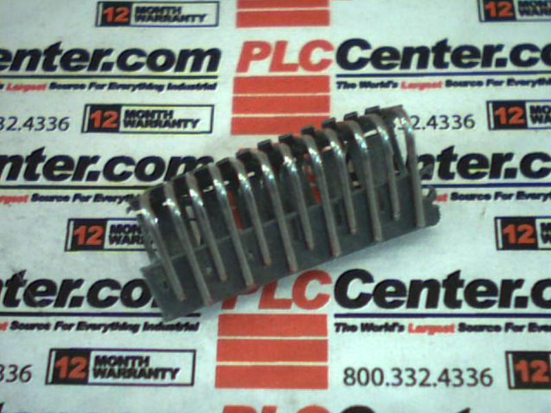 C25LPG1NY Belt by CLIPPER LACING