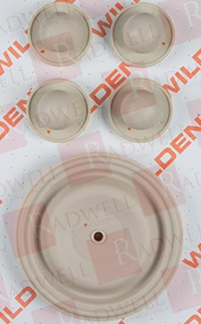 WIL-04-9804-58-209 Pump Repair Kit by WILDEN