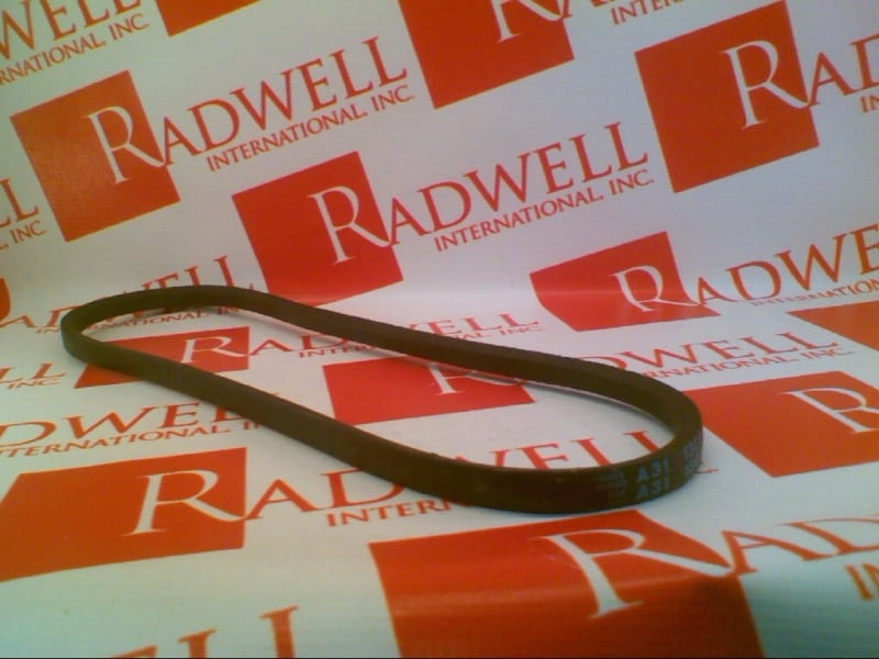 A31 Belt by DURKEE ATWOOD