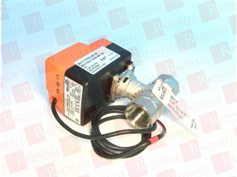 B217+TR24-SR Ball Valve by BELIMO