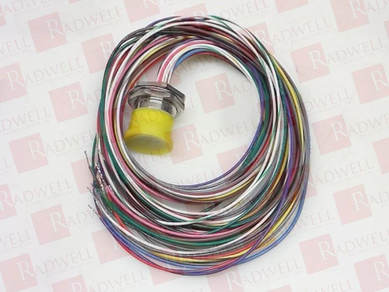 CKFD 19-19-1 Plug/Receptacle by TURCK